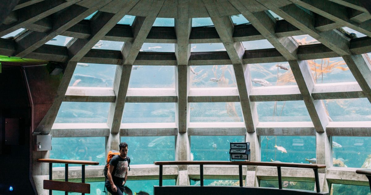 On the Grid : Seattle Aquarium
