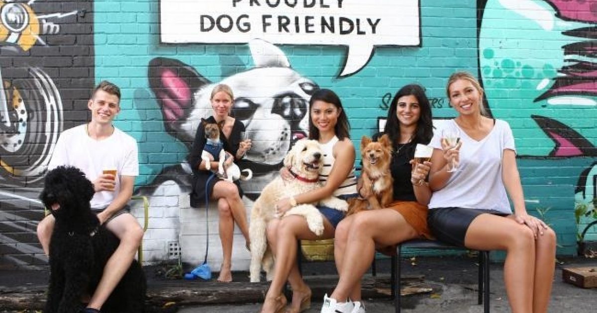 On the Grid : Dog friendly suburb