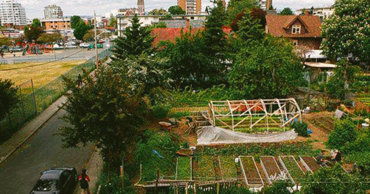 On the Grid : Mason Street City Farm