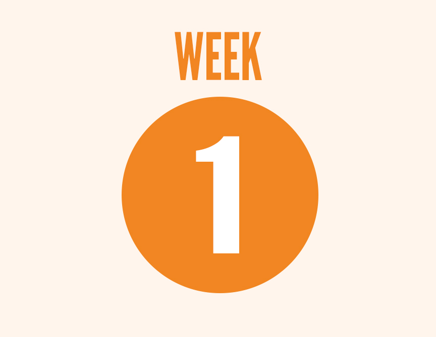 Photo Gallery – Orah Day Camp | Summers of Endless Fun