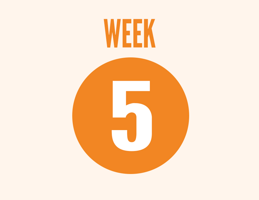 Photo Gallery – Orah Day Camp | Summers of Endless Fun