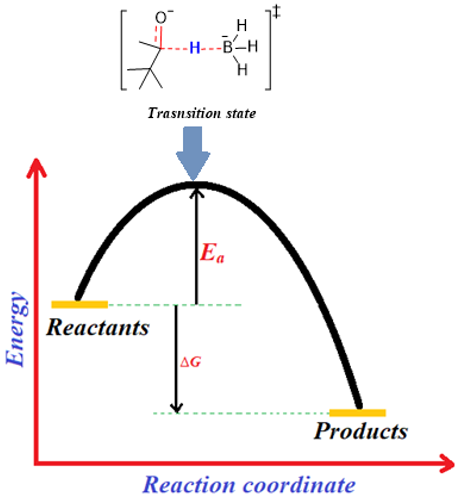 Transition States | Orgoreview