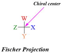 Fischer Projections | Orgoreview