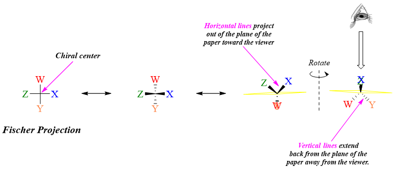 Fischer Projections | Orgoreview