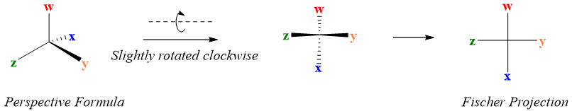 Fischer Projections | Orgoreview