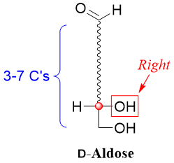 The Family of D-Aldoses | Orgoreview