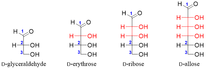The Family of D-Aldoses | Orgoreview