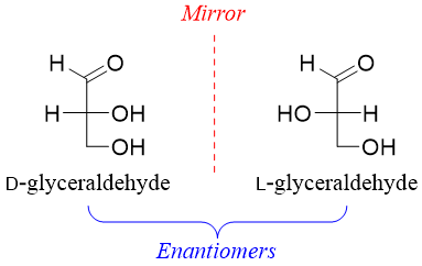 The Family of D-Aldoses | Orgoreview