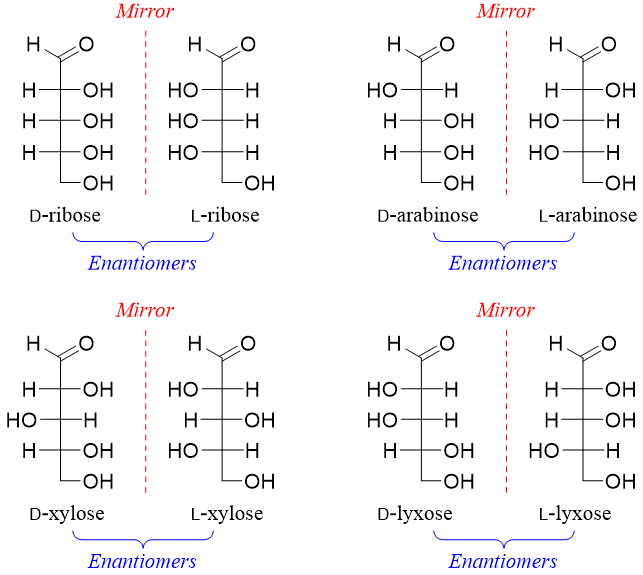 The Family of D-Aldoses | Orgoreview