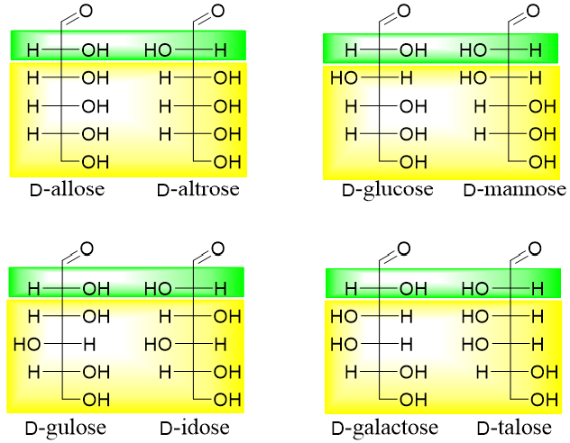 The Family of D-Aldoses | Orgoreview