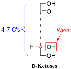 The Family of D-Ketoses | Orgoreview