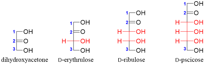 The Family of D-Ketoses | Orgoreview
