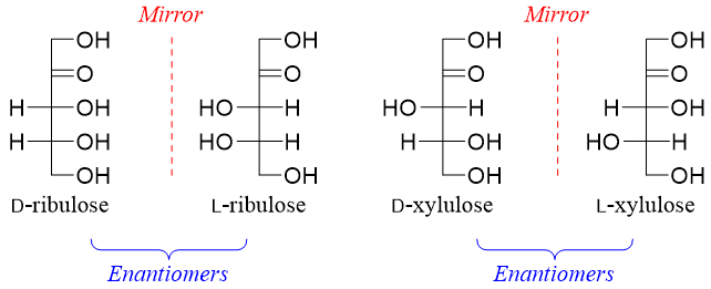 The Family of D-Ketoses | Orgoreview