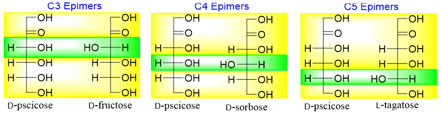 The Family of D-Ketoses | Orgoreview