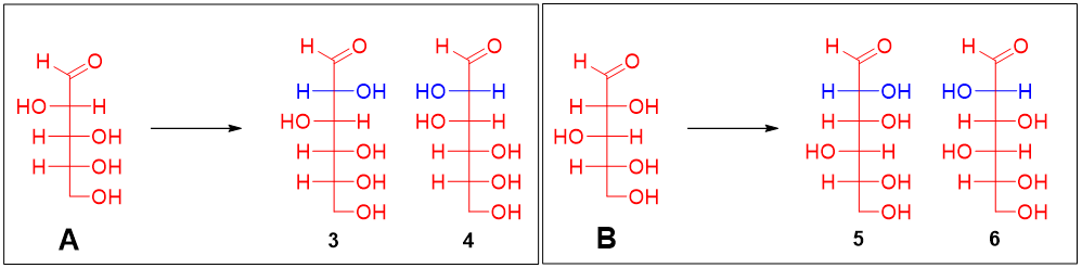The Fischer Proof | Orgoreview