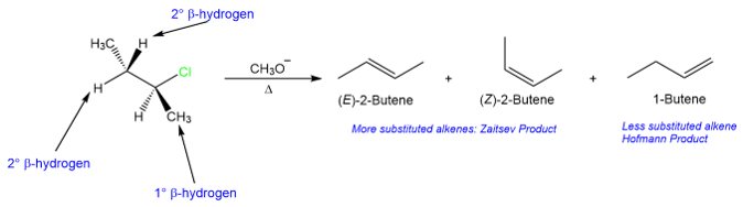 Zaitsev Vs Hoffman Elimination | Orgoreview