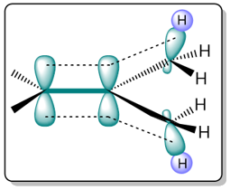 Zaitsev Vs Hoffman Elimination | Orgoreview