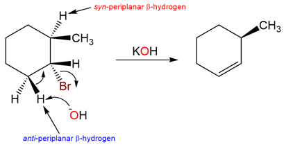 Zaitsev Vs Hoffman Elimination | Orgoreview
