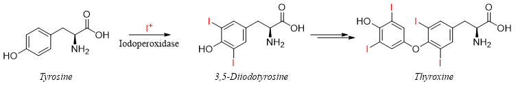 Iodination | Orgoreview