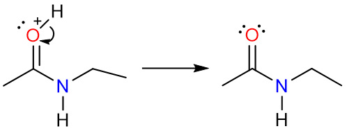 Conversion to Amide | Orgoreview