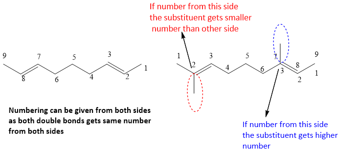 Nomenclature of Dienes | Orgoreview