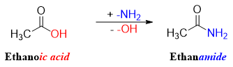 Nomenclature of Amides | Orgoreview