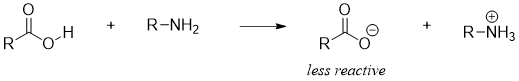 Amide Formation Using DCC | Orgoreview