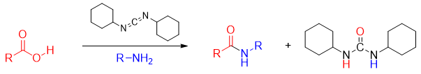 Amide Formation Using DCC | Orgoreview