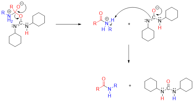 Amide Formation Using DCC | Orgoreview