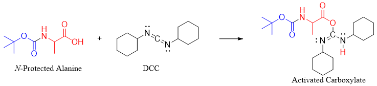 Amide Formation Using DCC | Orgoreview