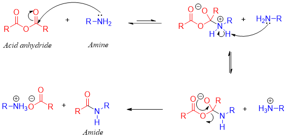 Amide Formation from Acid Anhydrate | Orgoreview