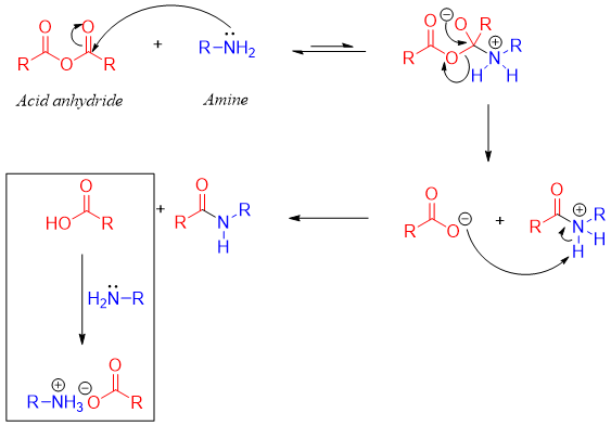 Amide Formation from Acid Anhydrate | Orgoreview