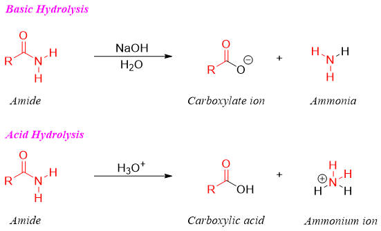 Hydrolysis of Amides | Orgoreview