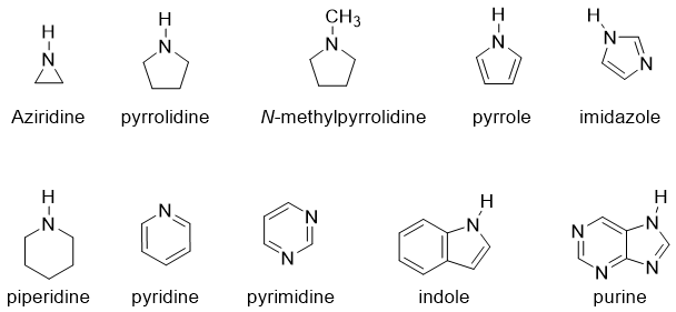 Nomenclature of Amines | Orgoreview