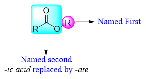 Nomenclature of Esters | Orgoreview
