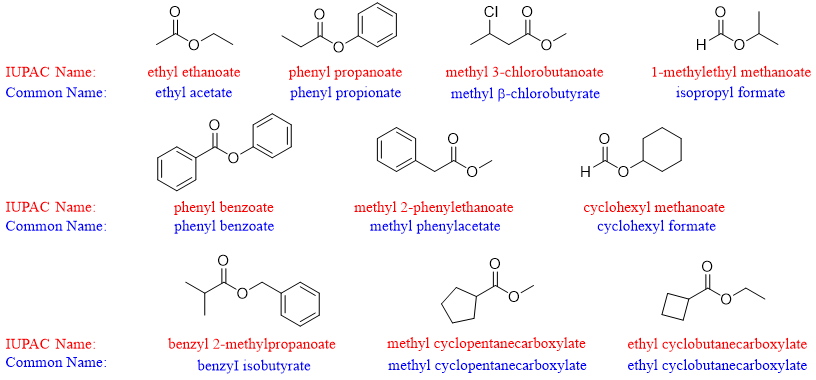 Nomenclature of Esters | Orgoreview