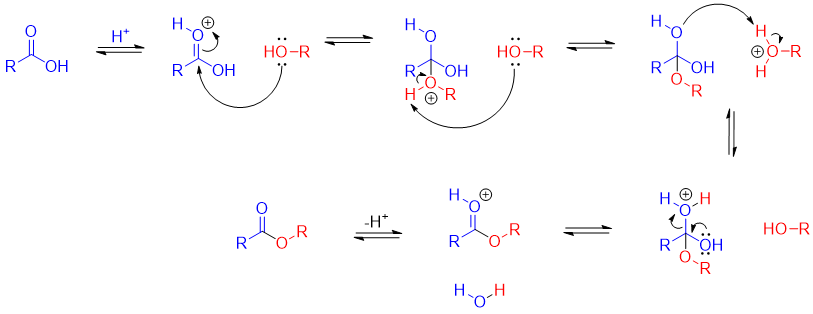 Synthesis of Esters | Orgoreview