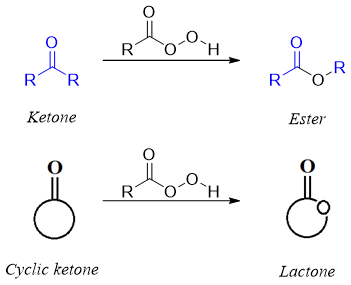 Synthesis of Esters | Orgoreview