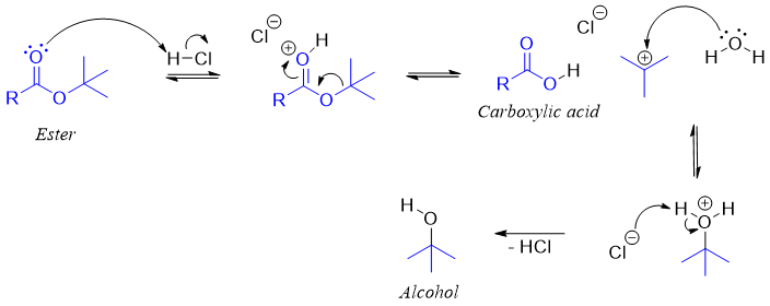 Hydrolysis - Conversion Esters to Carboxylic Acid | Orgoreview