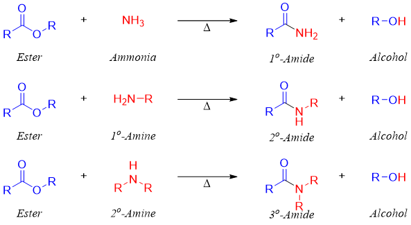 Esters Conversion to Amide | Orgoreview