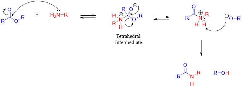 Esters Conversion to Amide | Orgoreview