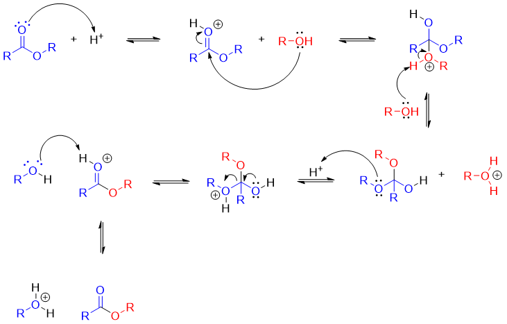 Transesterification | Orgoreview