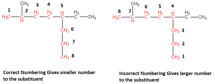 Nomenclature of Alkanes | Orgoreview