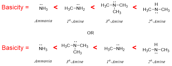 Amines as Bases | Orgoreview