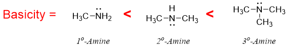 Amines as Bases | Orgoreview