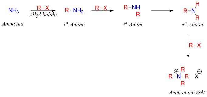 Alkyation of Amines | Orgoreview