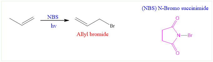 Allylic Bromination [NBS] | Orgoreview