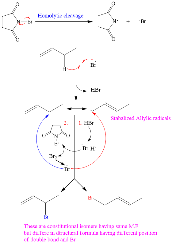 Allylic Bromination [NBS] | Orgoreview