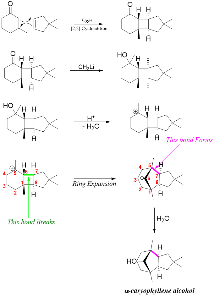 Ring Expansion | Orgoreview
