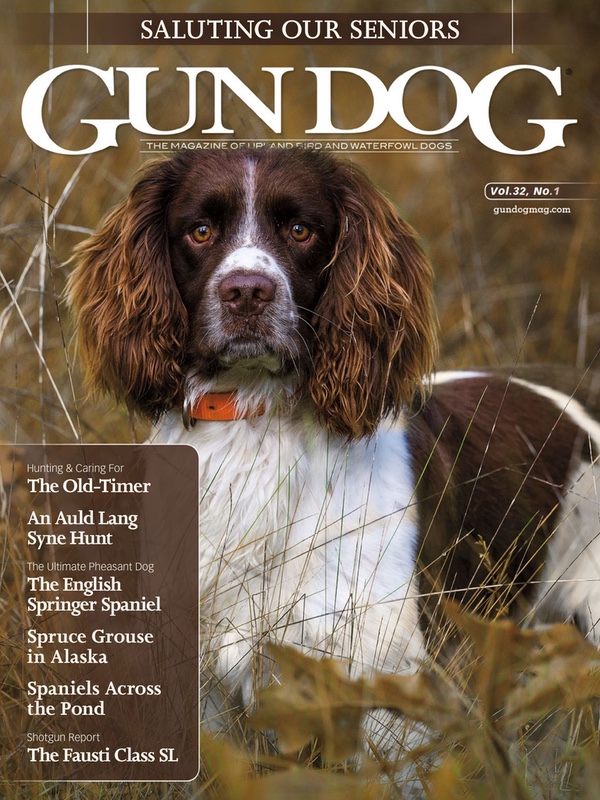Did you miss an issue? Subscribers can read current or past - Gun Dog